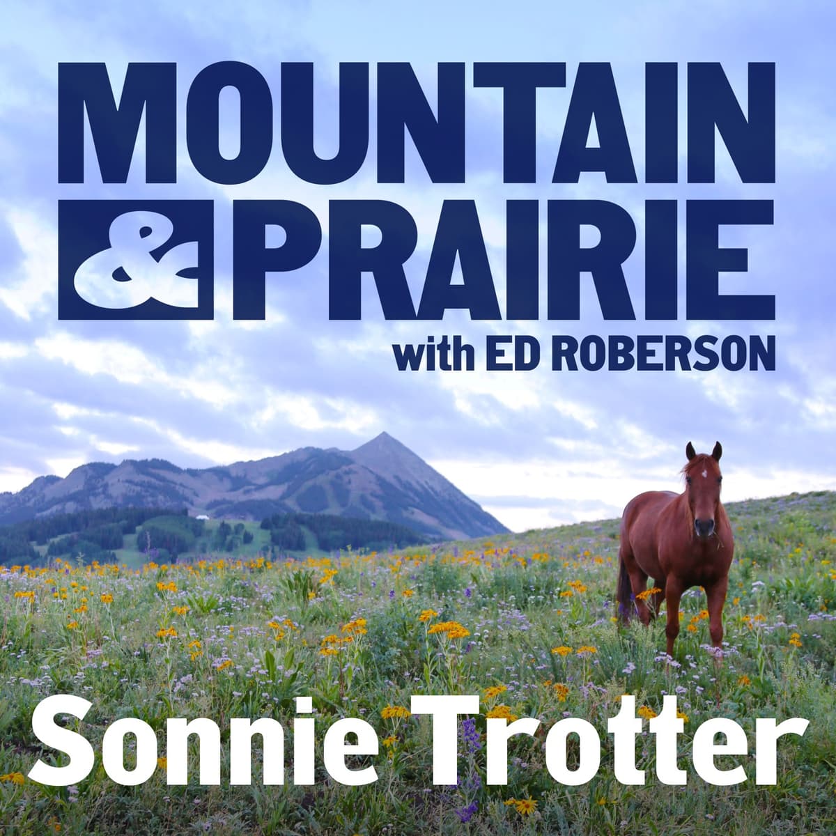 Sonnie Trotter – On Flow, Family, and the Long Game - Mountain ...